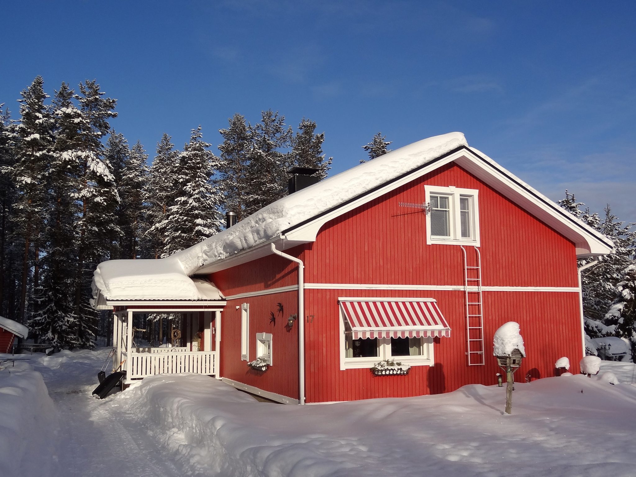 Winter photos: Reindeer Lake Resort reindeer farm Lapland Finland